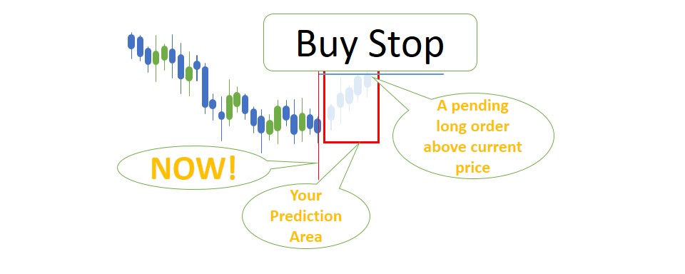 Types of Forex Orders: Fully Explained - Srading.com