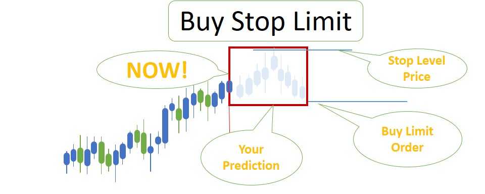 Types of Forex Orders: Fully Explained - Srading.com