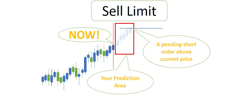 Types of Forex Orders: Fully Explained - Srading.com