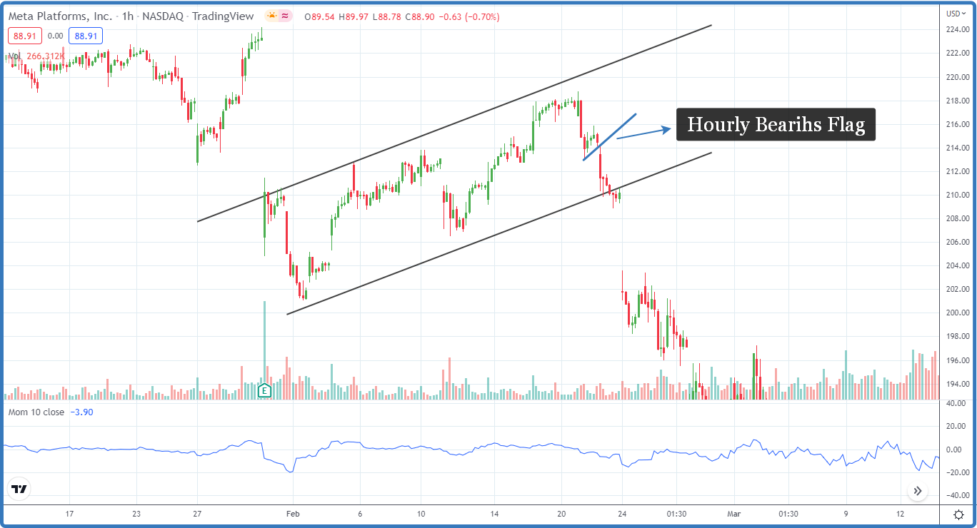Flag Pattern: Types, How to Trade & Examples - Srading.com