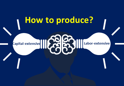 Three Basic Economic Questions Explained in Simple Words - Srading.com