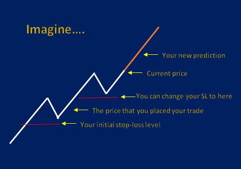 Trading Checklist: What It Is, Info-graphic, and PDF - Srading.com